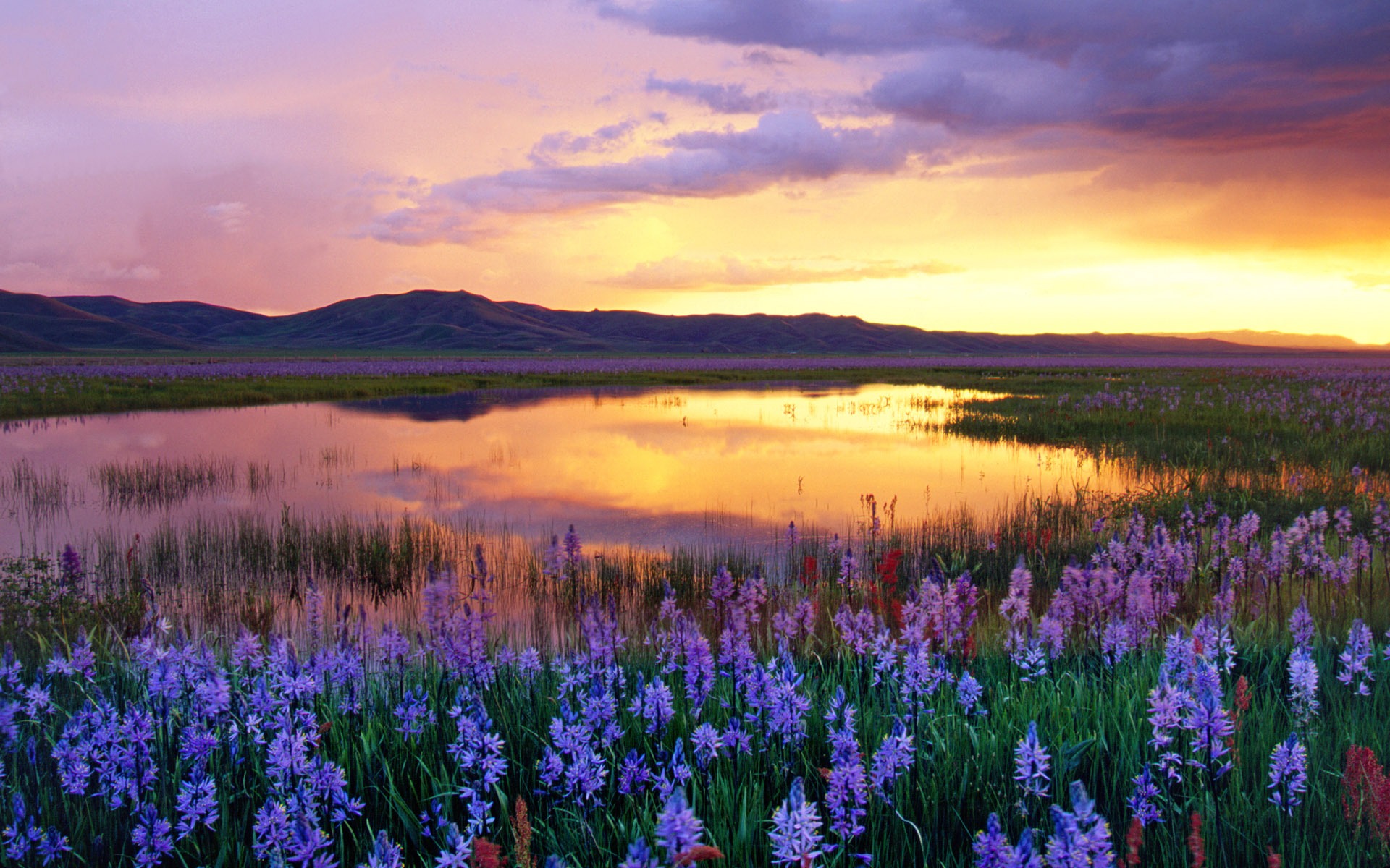 Prairie Landscape Wallpaper